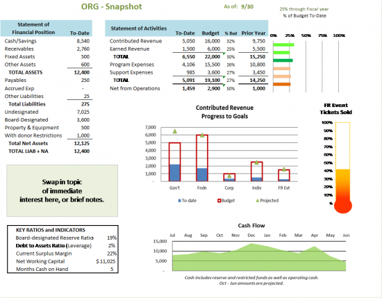 Dashboards or Snapshots | Nonprofit Accounting Basics